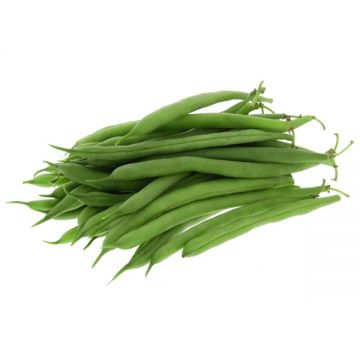 Iranian Green Beans